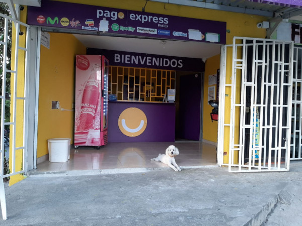 locales – Pago express